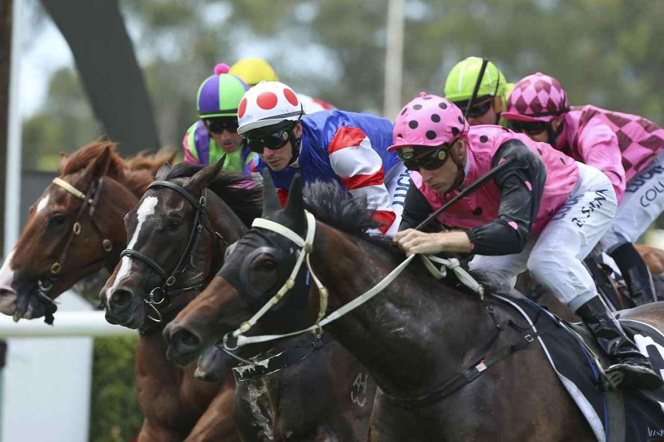 Scratching opens the door for Single Bullet