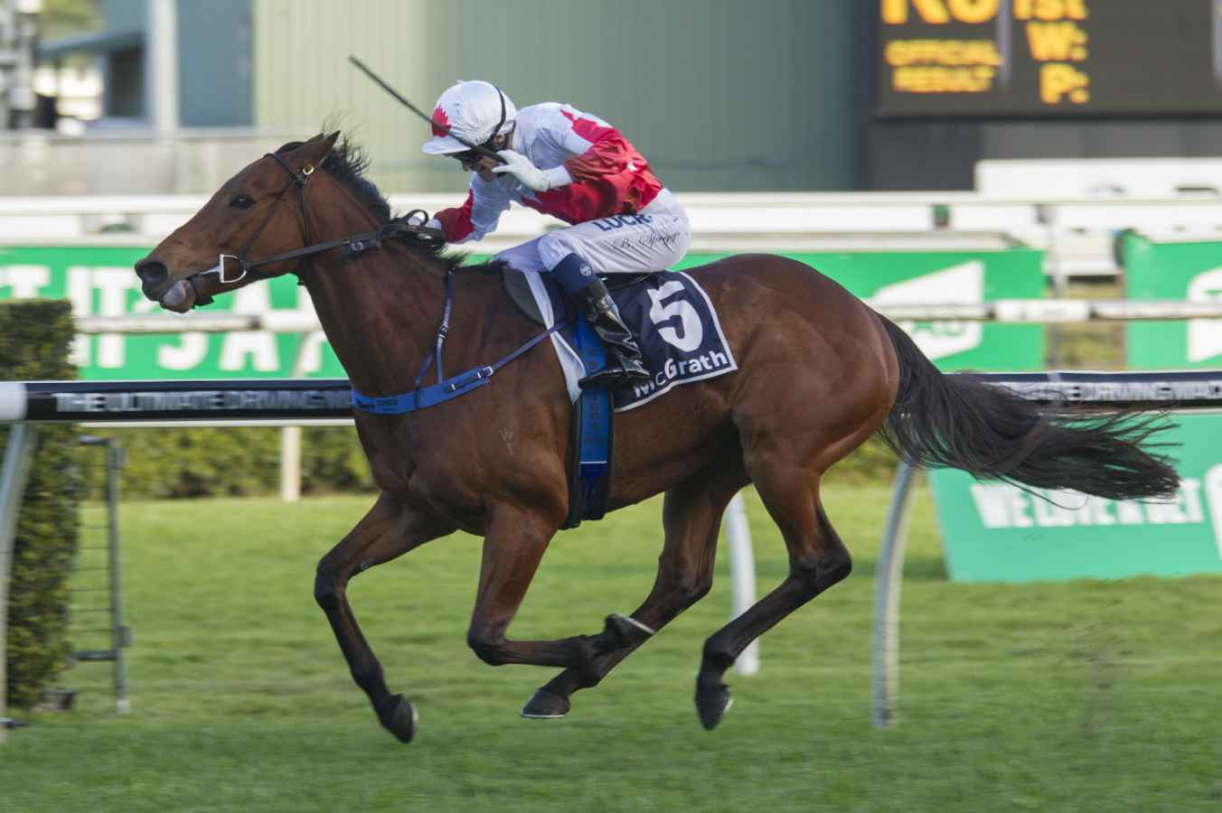 Sir John Hawkwood wins G1 Metropolitan