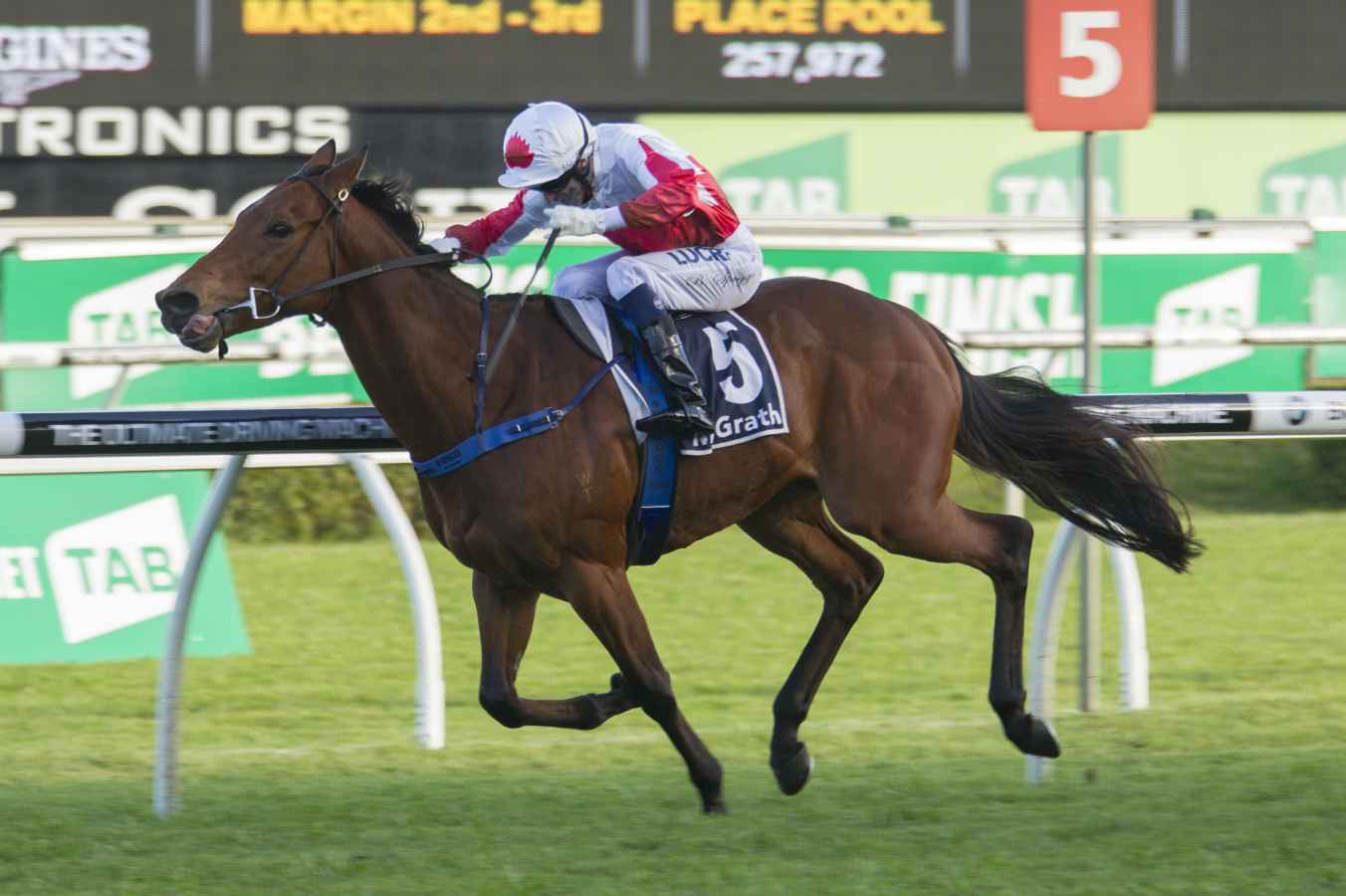 Spriggs to realise a childhood dream