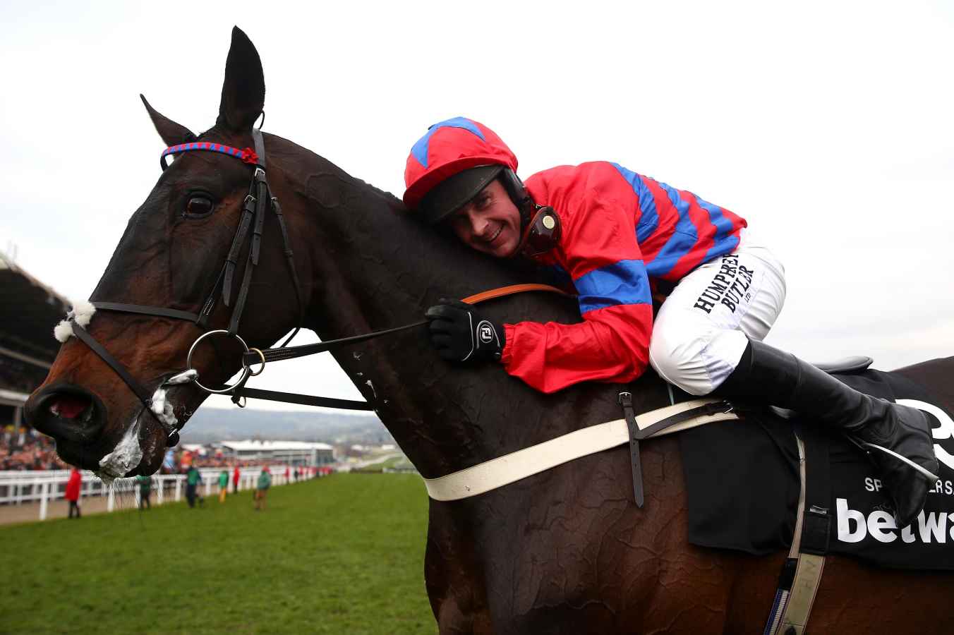 Sprinter Sacre the star at Chelthenham
