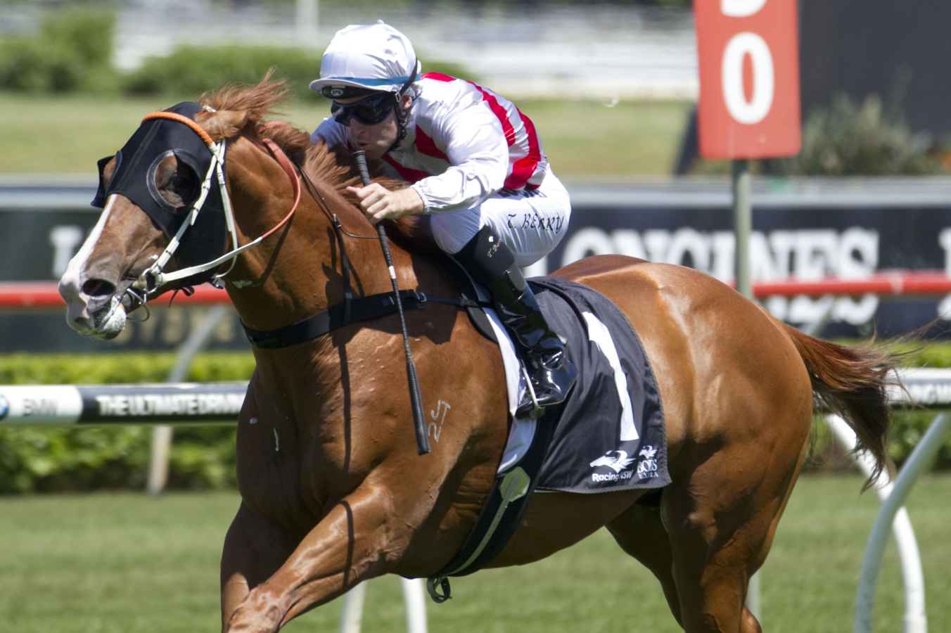 Star Turn returns for Capitalist showdown
