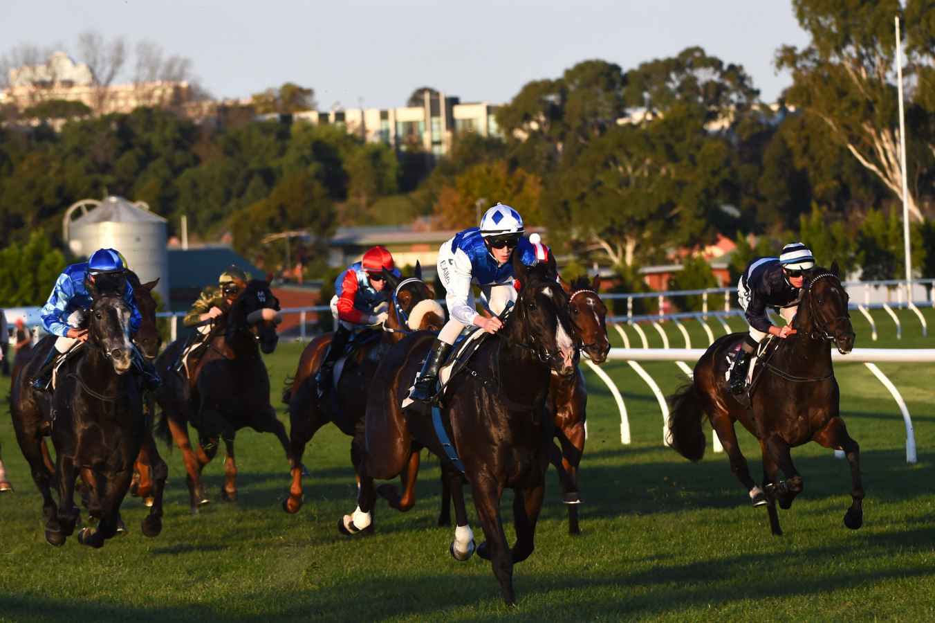 Group One Goodwood the aim for Supido