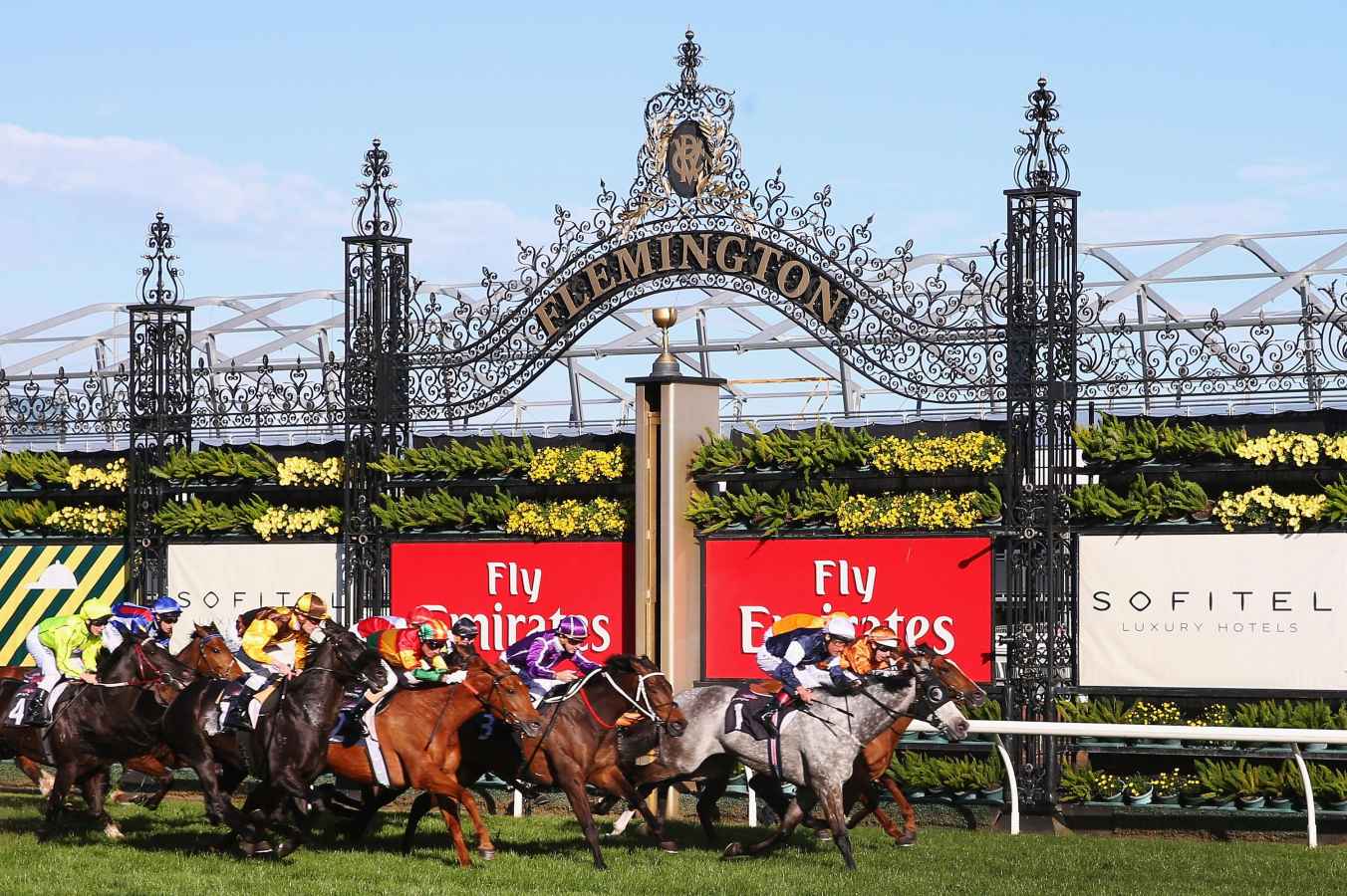 Makybe Diva Stakes report card