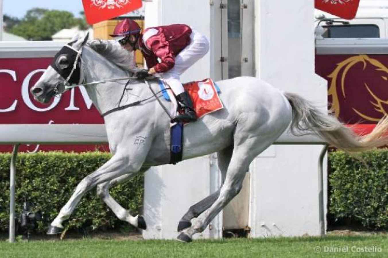 Crowd-pleaser The White Hope returns