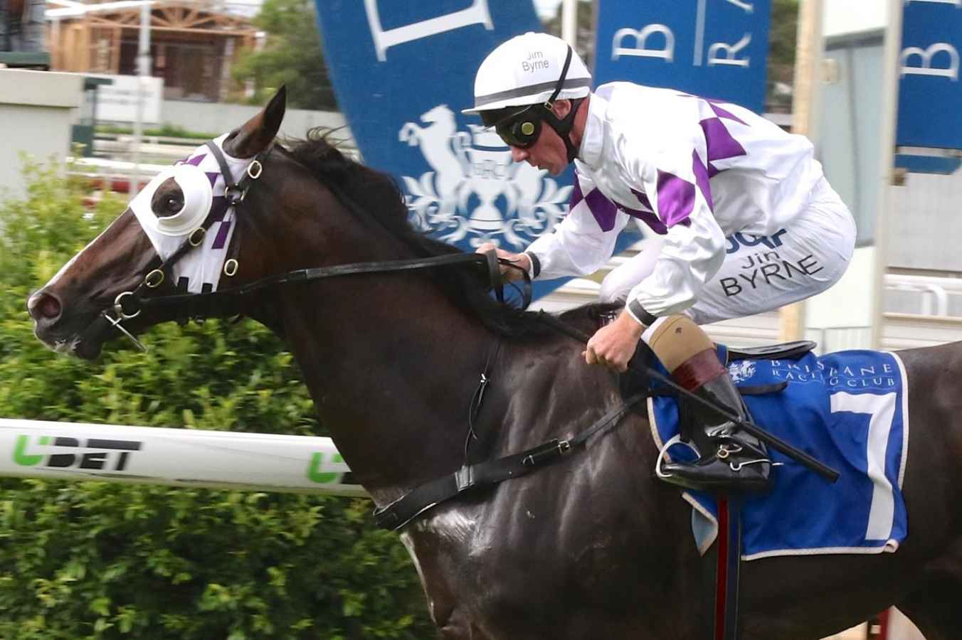 Doomben preview