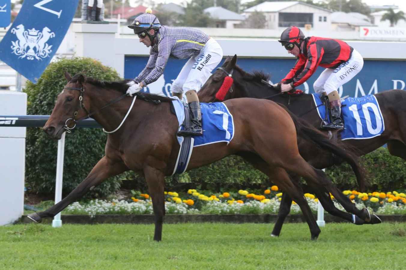 In Masquerade ready for Doomben 2200m