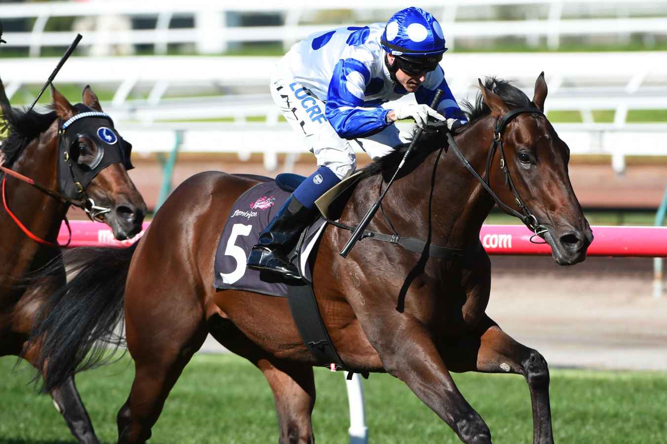 Throssell wins Anzac Day Stakes
