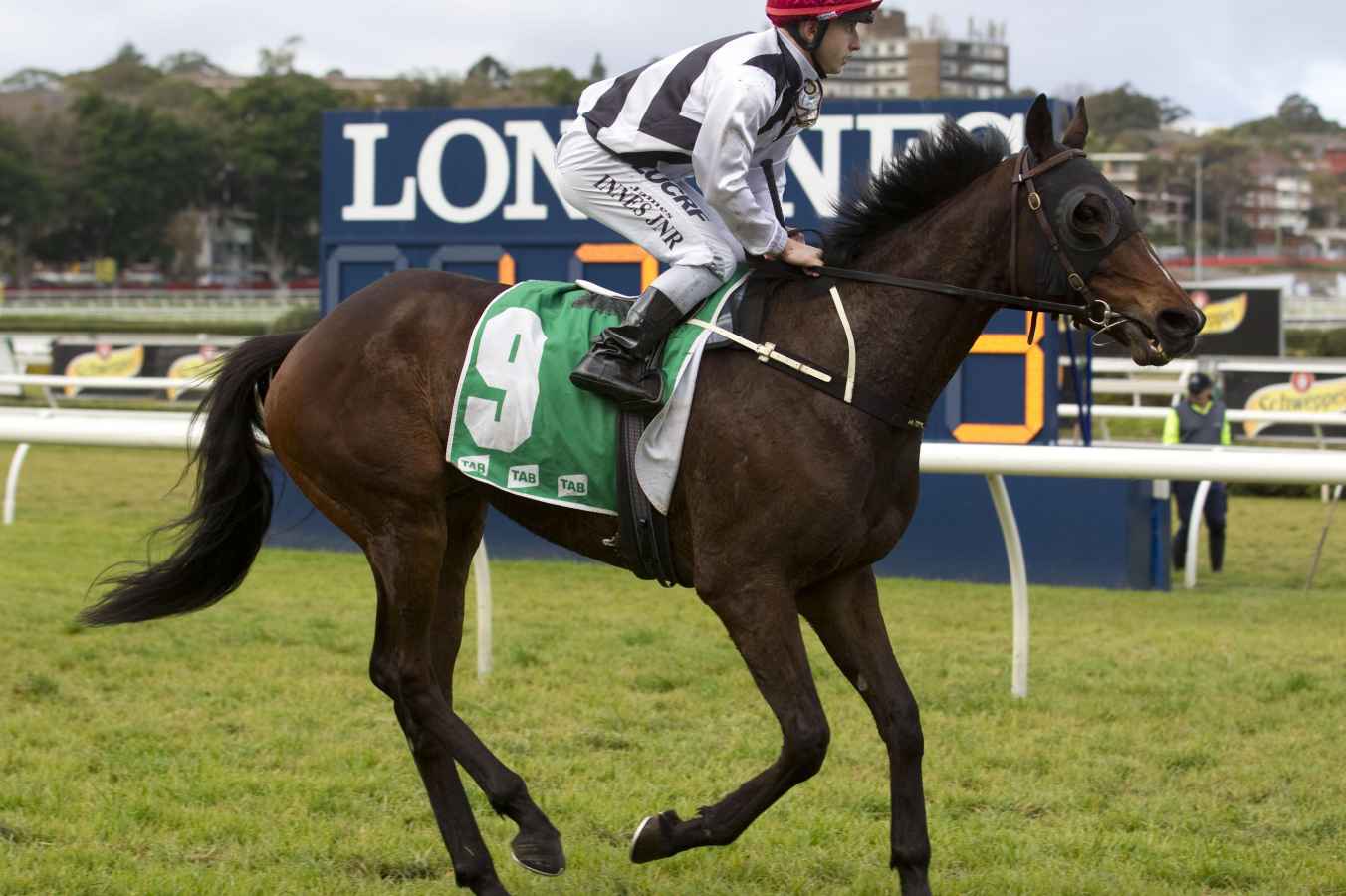 Longmire horse Thunders to Randwick win