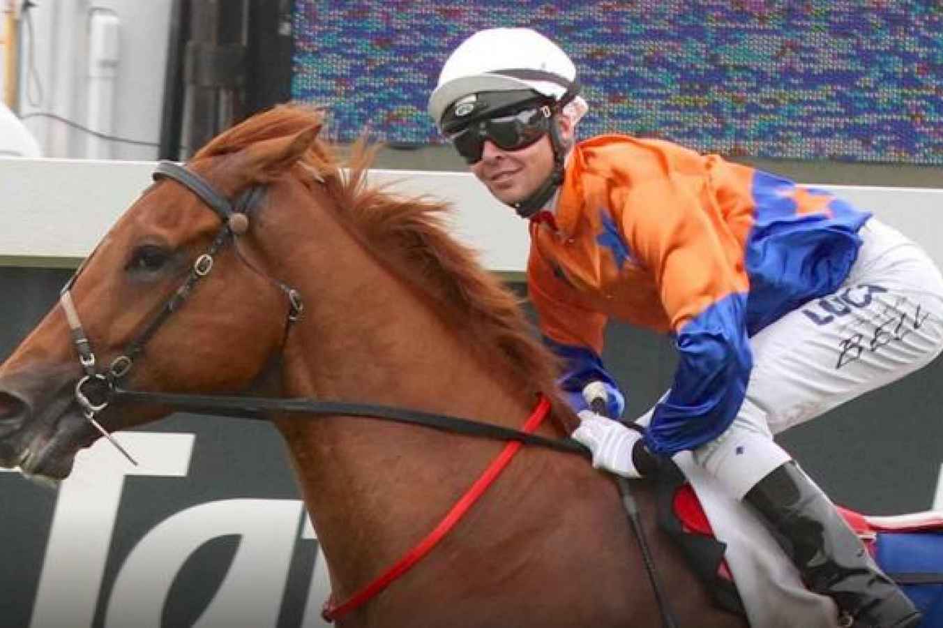 Talented Bell had world at his feet