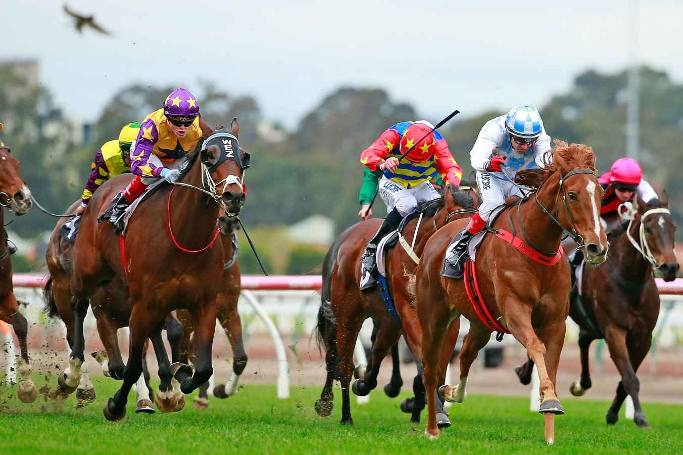 Regional broadcast of Vic racing to commence today