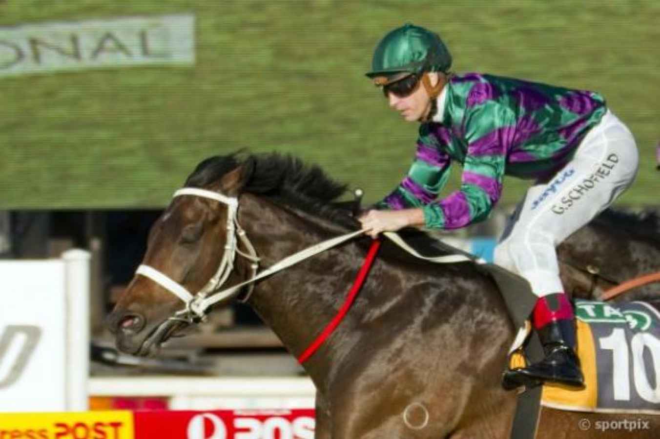 Rain to suit Wazn in Australia Day Cup