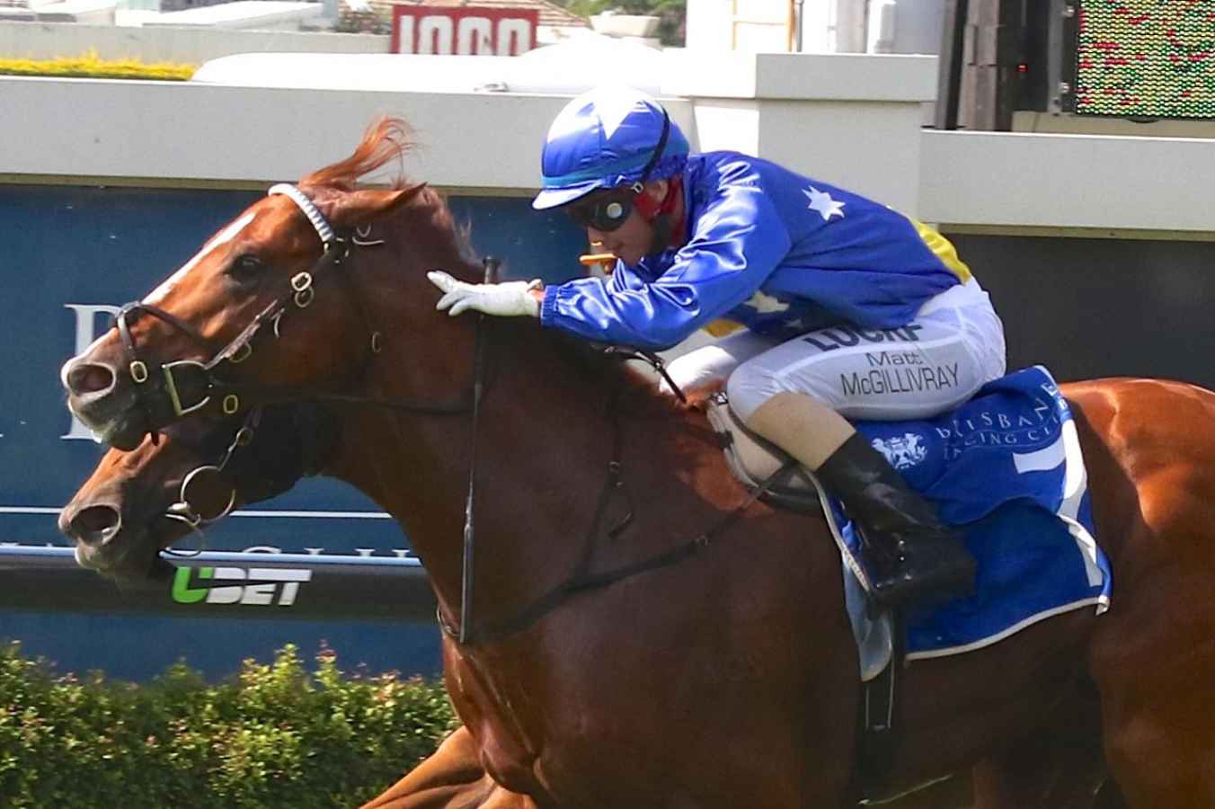 Weight's right for Munce's Wicked Intent