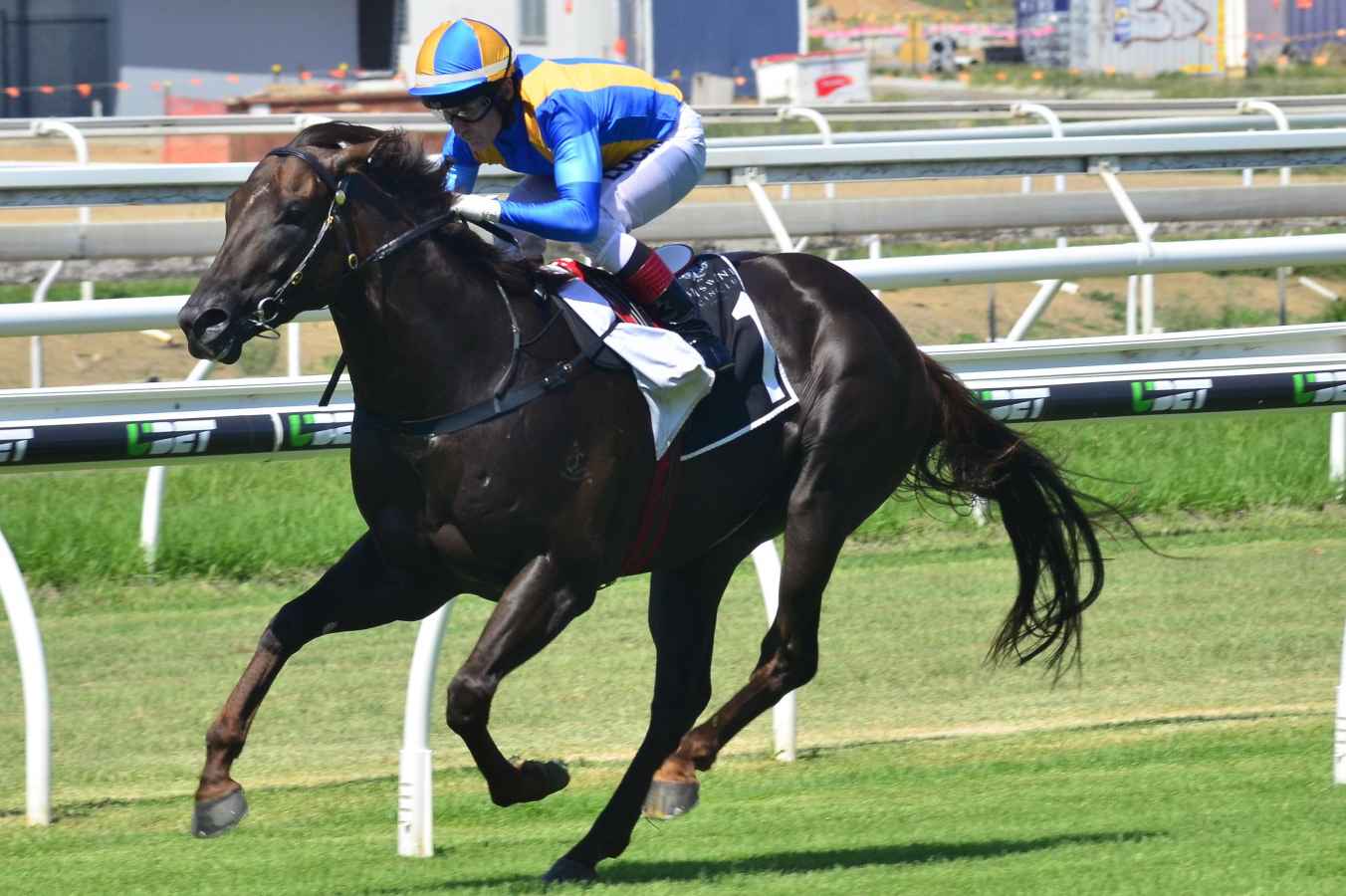 Winning Rupert runs another record