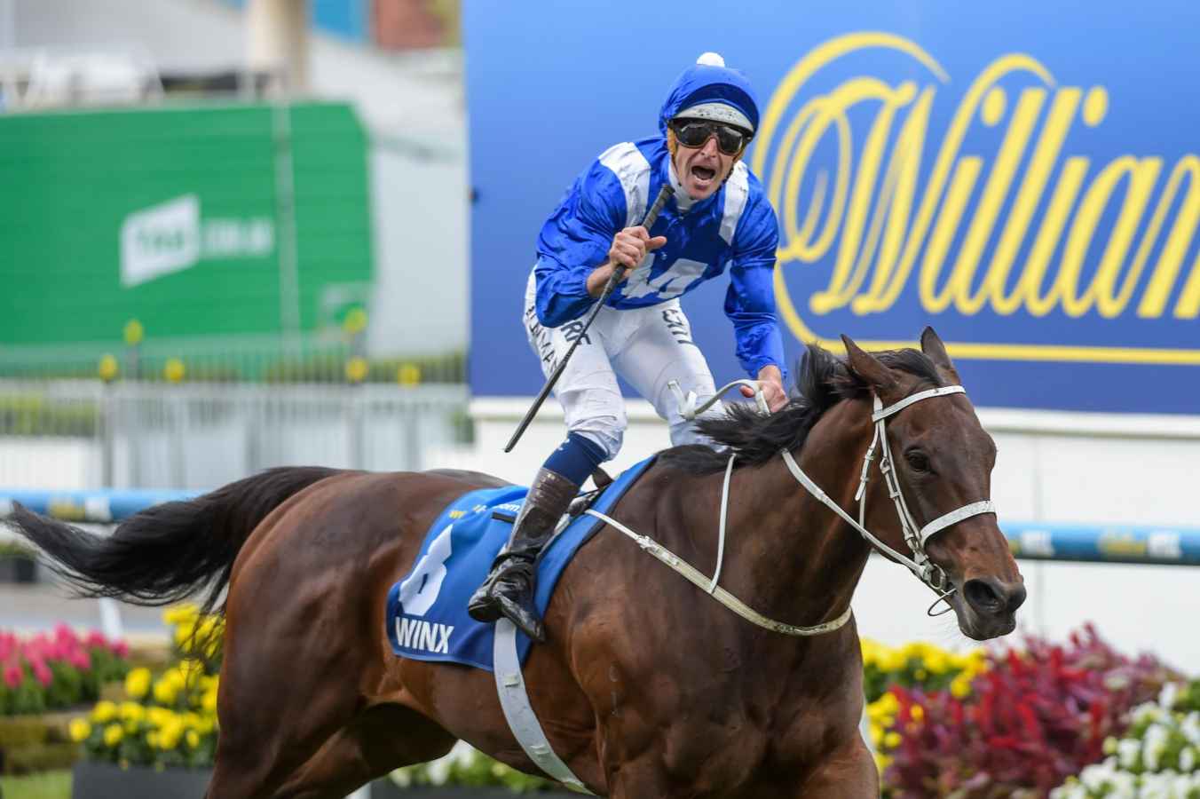 Winx blows them away in the Cox Plate