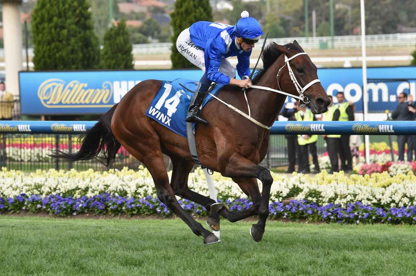 Brilliant mare Winx claims WFA Cox Plate