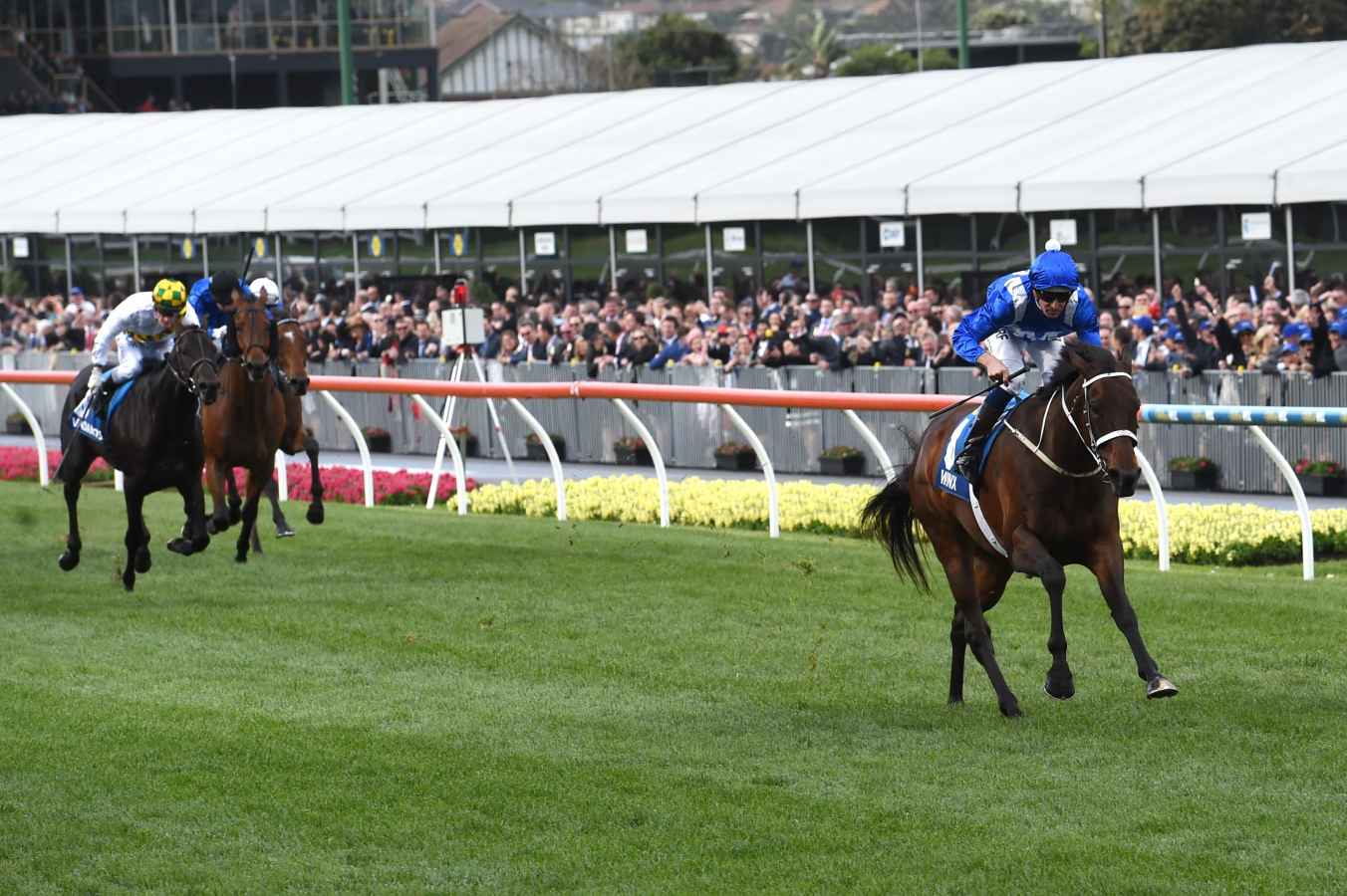Winx first, daylight second in Cox Plate