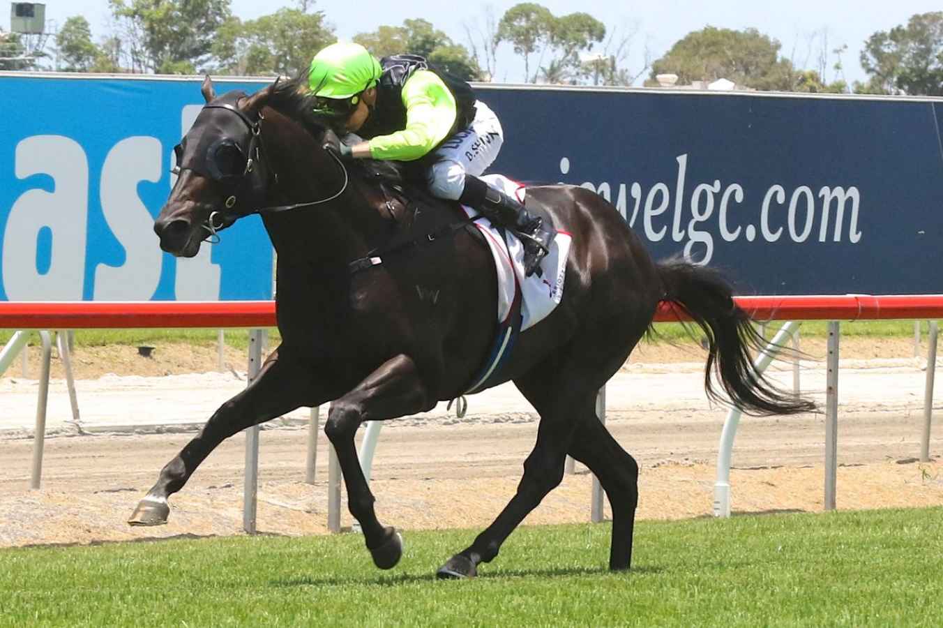 Wolf Cry to make return for new trainer