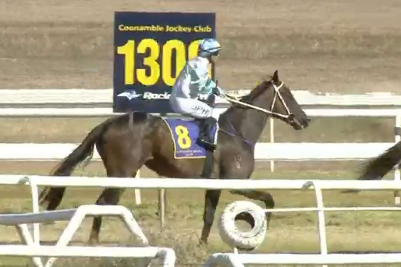 'Big pussycat' breaks maiden at start No.31