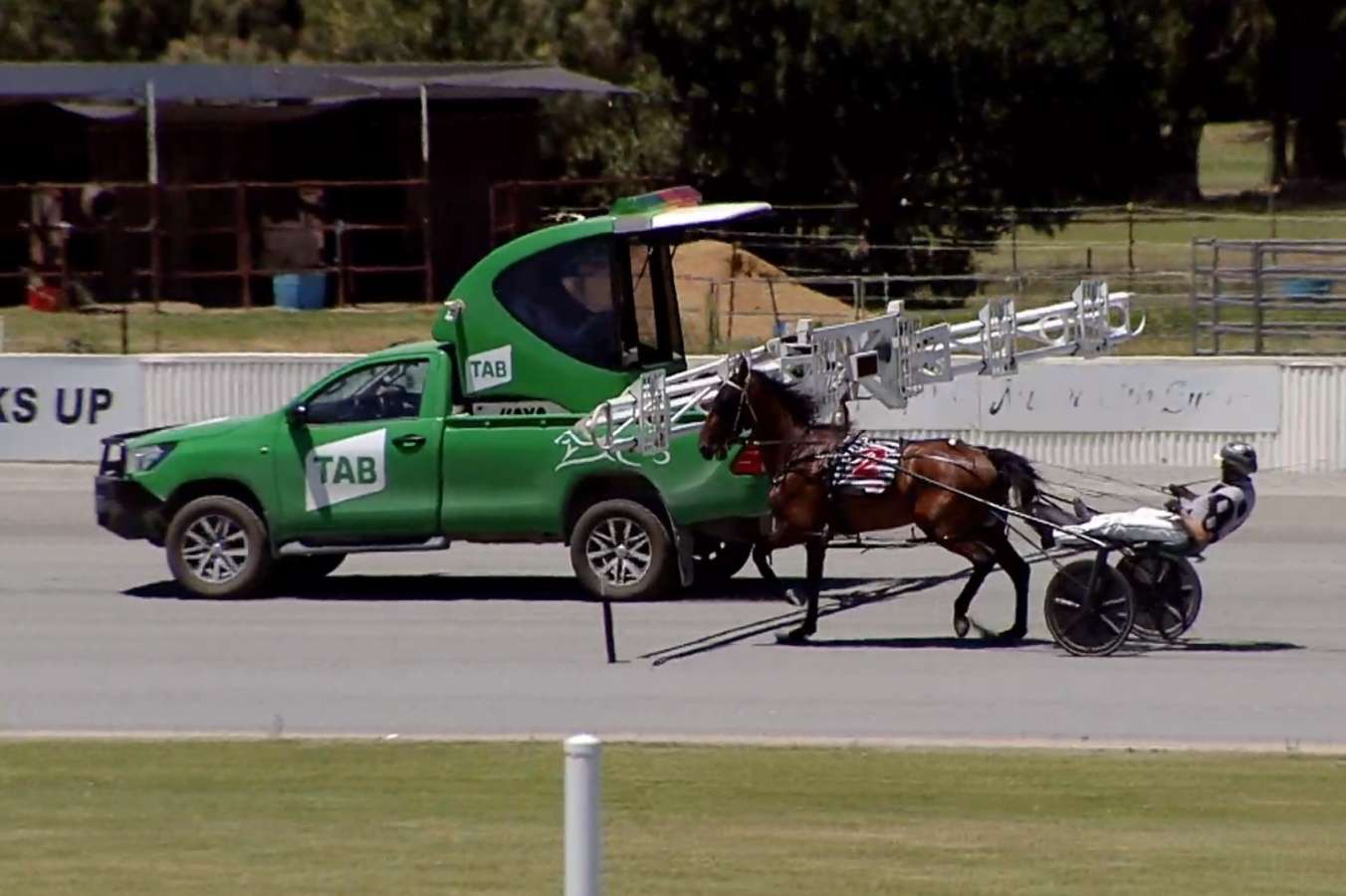 11YO gelding cruises to walkover victory after widespread scratchings