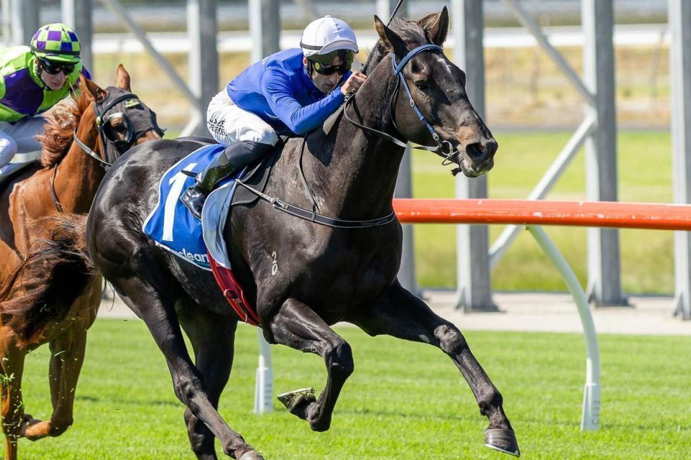 MacGillivray dreams of Derby triumph with untapped stayer