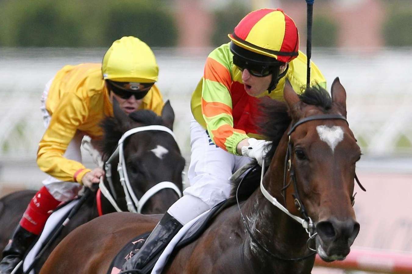 Sister to super sprinter Lankan Rupee to debut at Geelong races Wednesday