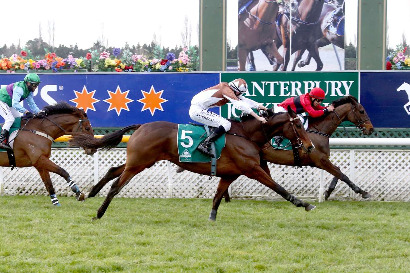 Horse hurdles horse as old timer wins