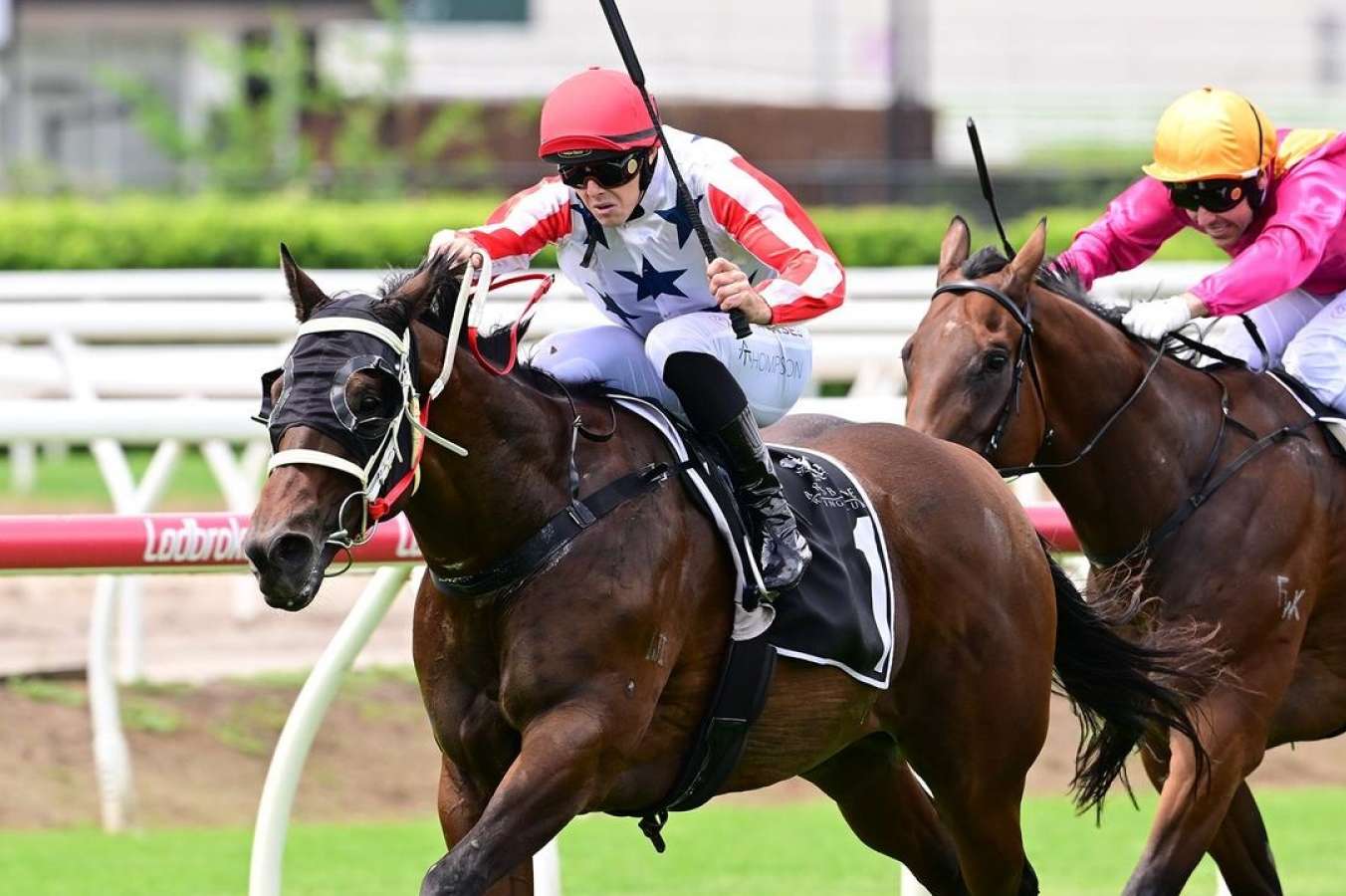 Young jockey goes from derelict poultry farm to Group winner