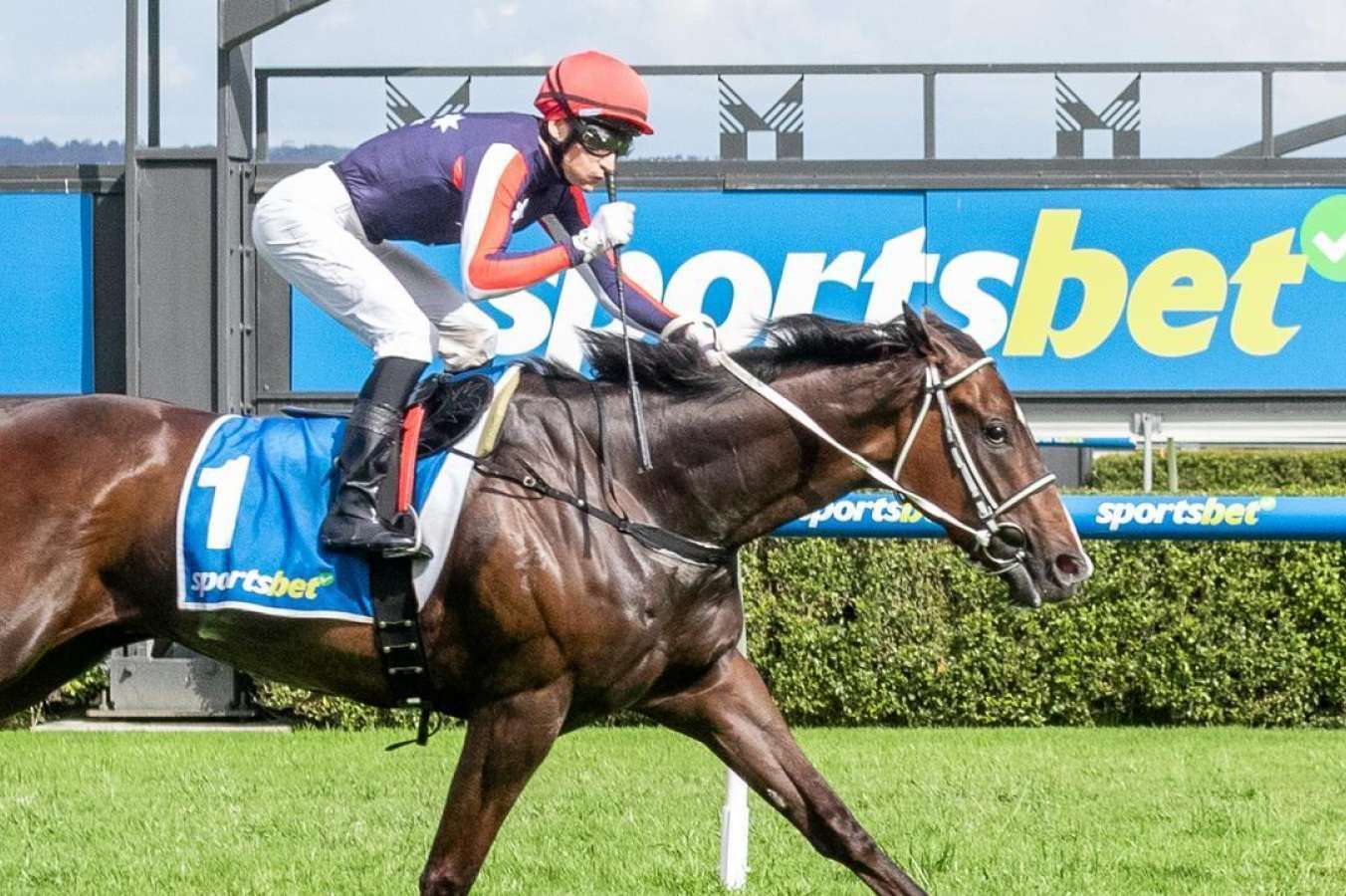 Andrew Gluyas has doubts with Cranbourne Cup Assault
