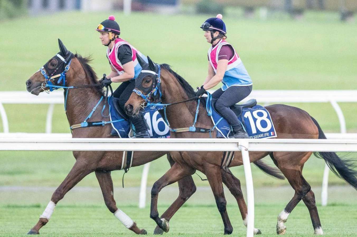 Alcohol Free puts Everest case forward after impressive trial