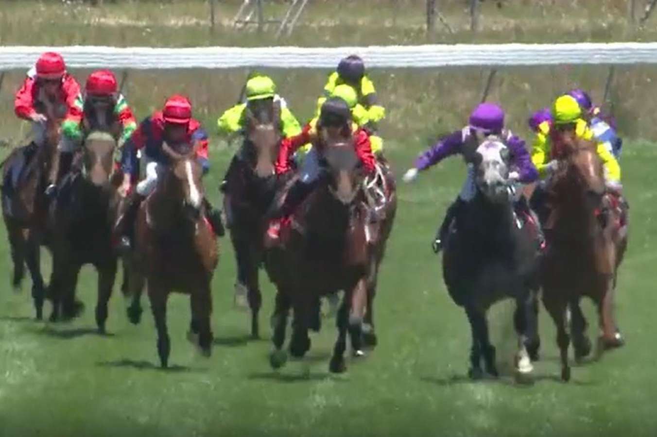 WATCH: Jockey outed for hitting rival horse over head with whip