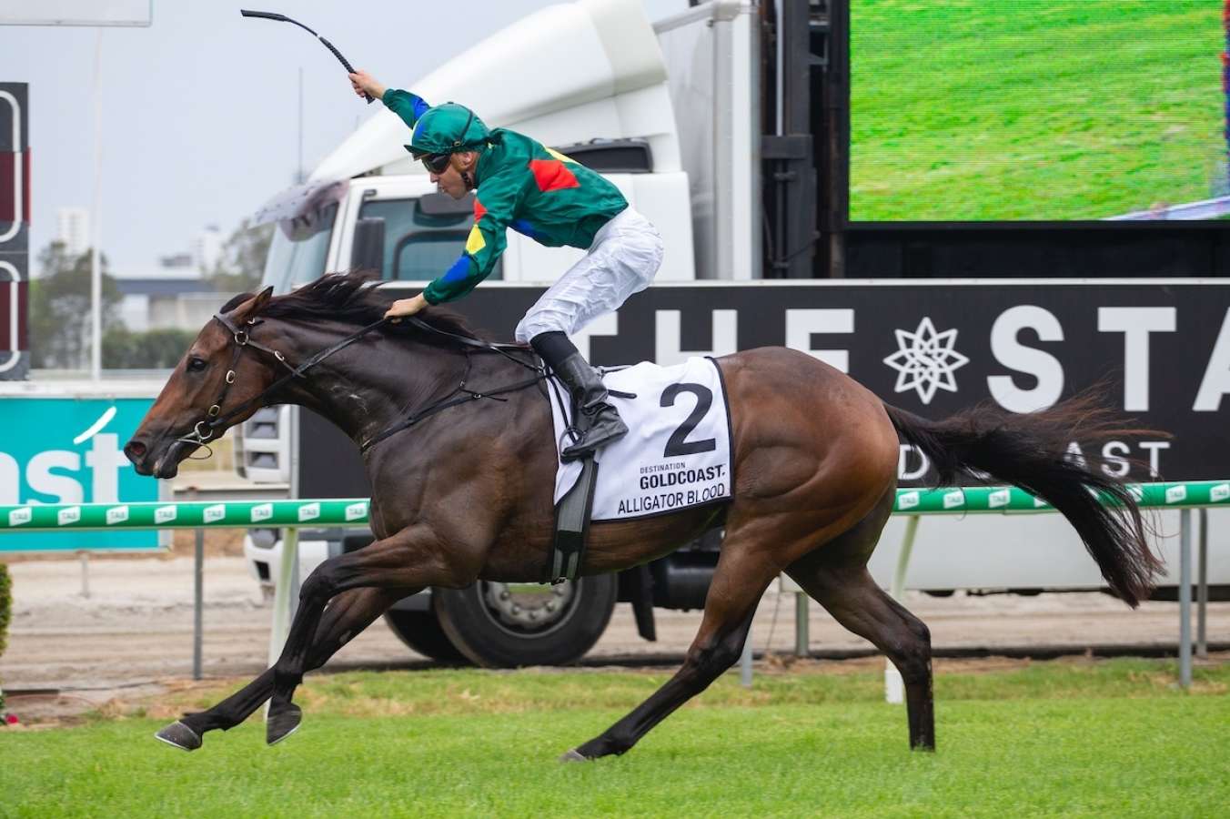 Alligator Blood triumphs in MM 3YO Guineas