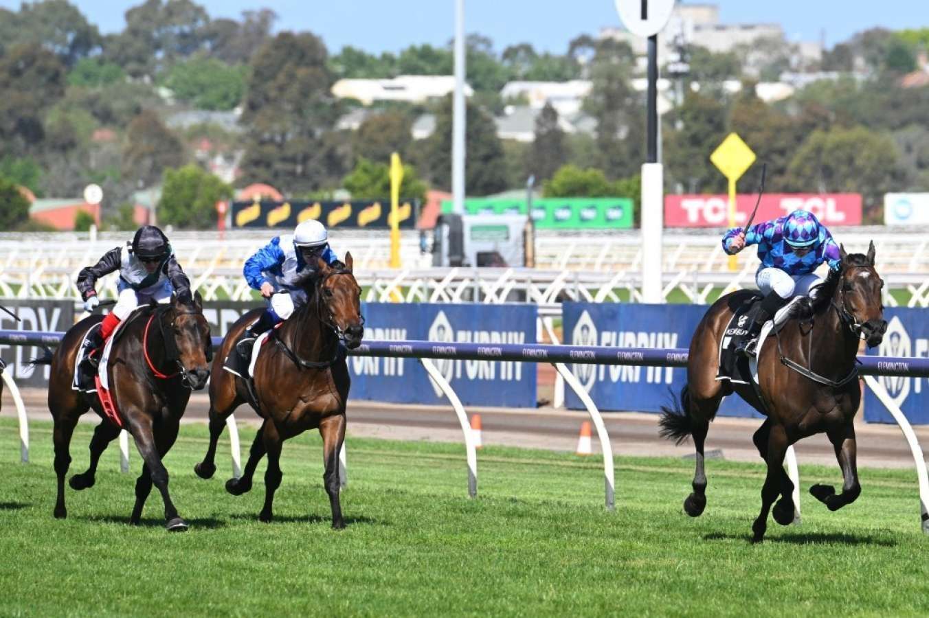 Alligator Blood, Mr Brightside given All-Star Mile wildcards