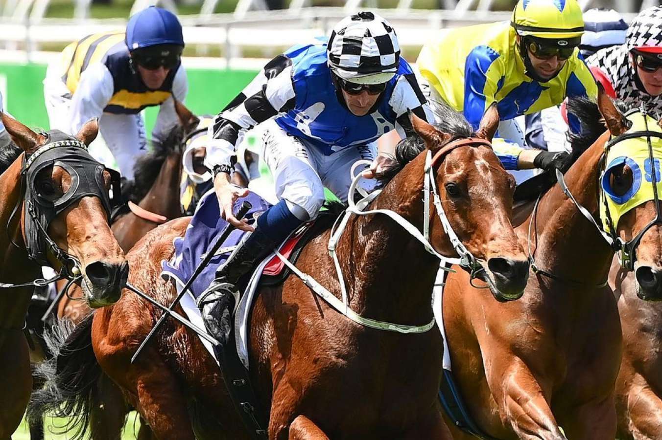 Kris Lees' perseverance with Almania can pay off with Randwick win