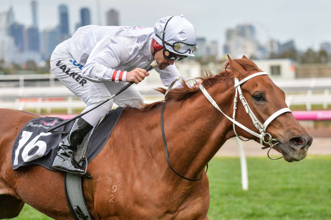 Metropolitan favourite to show credentials