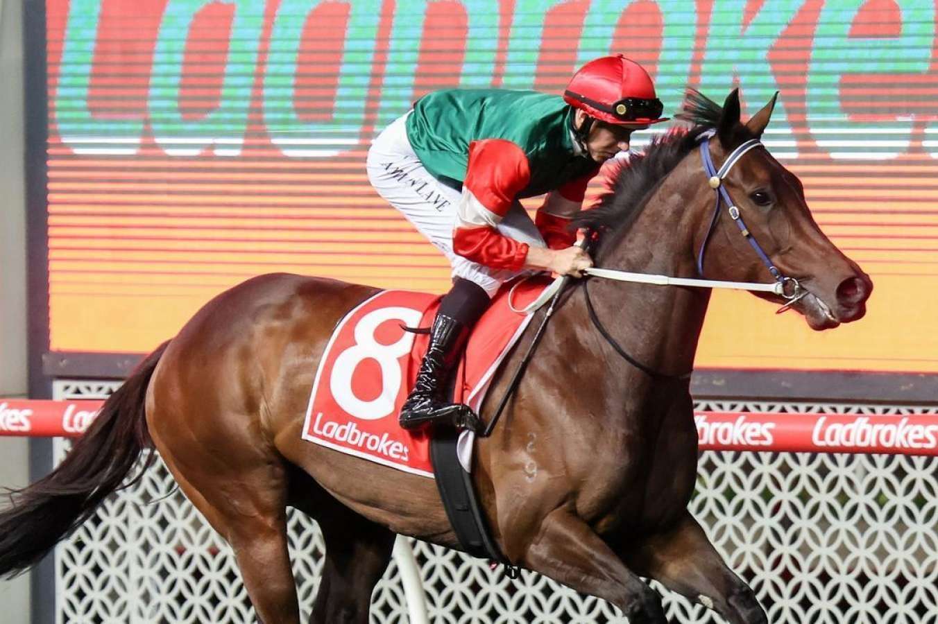 The Quokka: Amelia's Jewel runner-up again but gallant in defeat