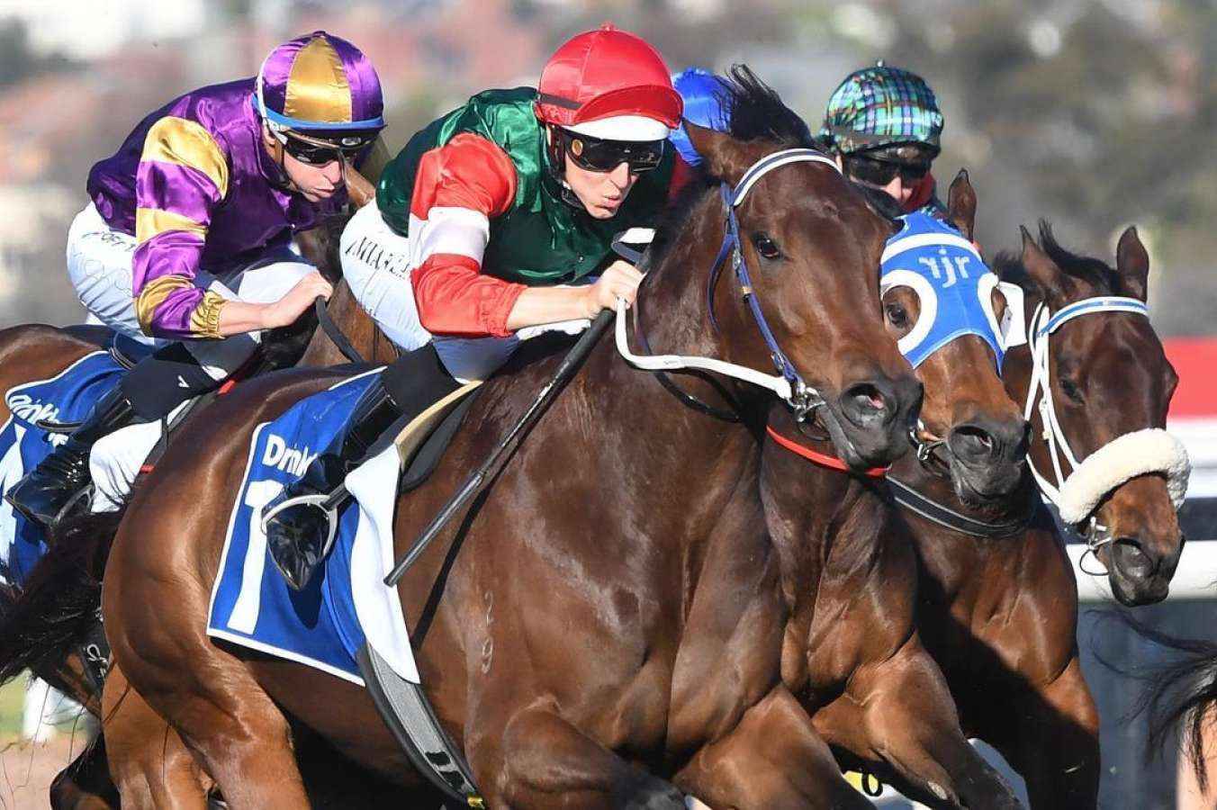 'She got too fat': Amelia's Jewel spell cut short as Annabel Neasham ...