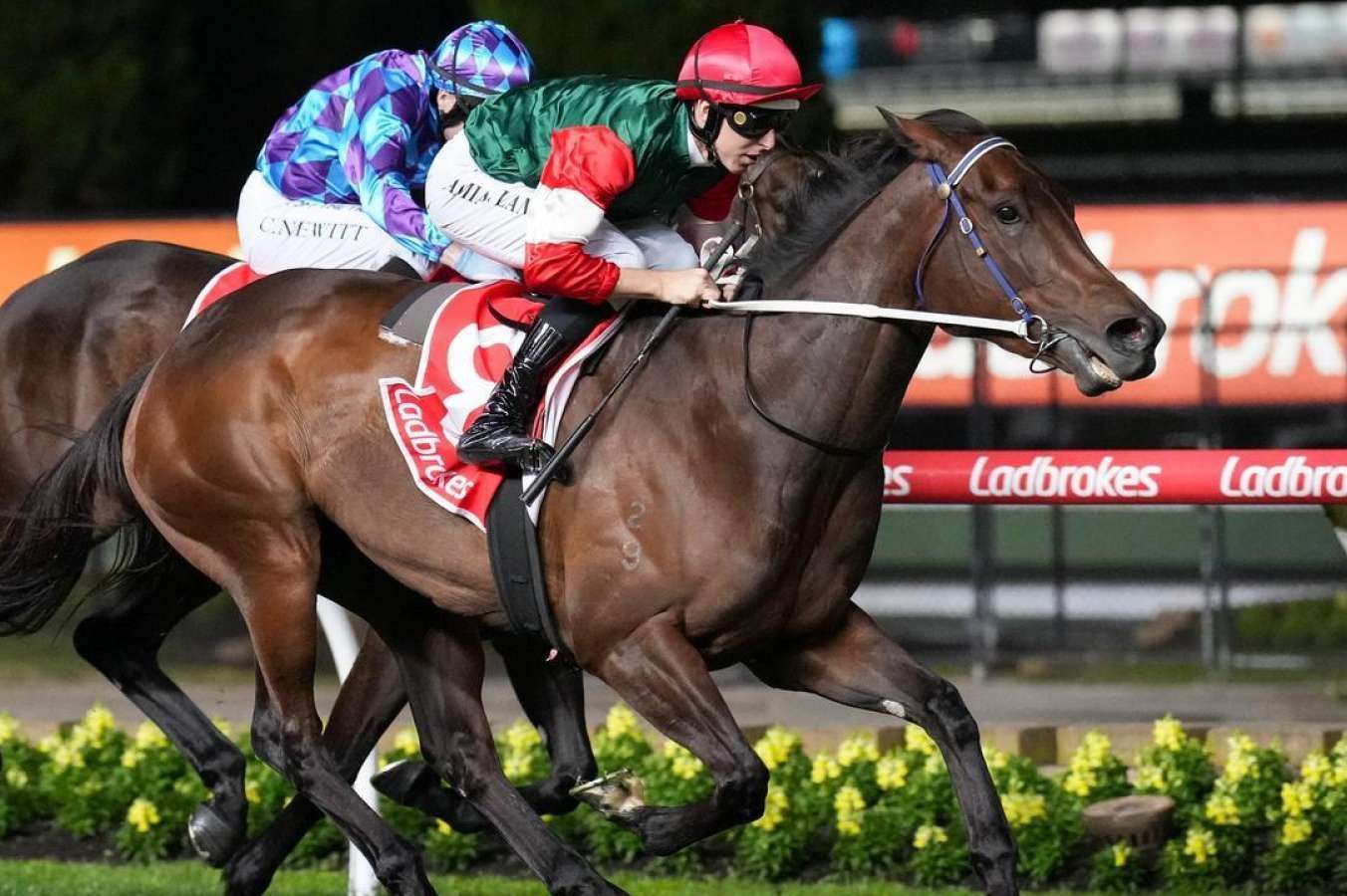 24 horses nominated to take on Amelia's Jewel in Toorak Handicap