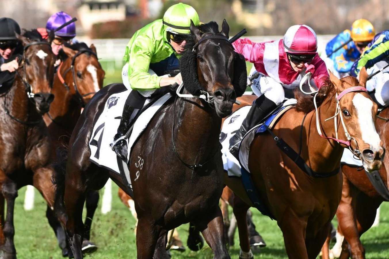 Amenable following I Wish I Win's Golden Eagle template