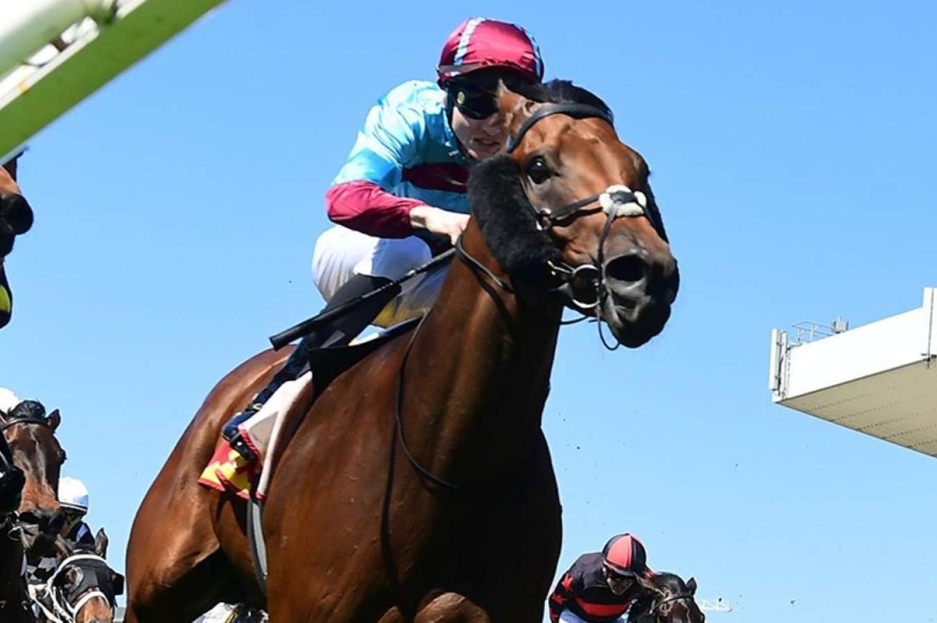 Doomben horse racing tips for Wednesday, September 18, 2024