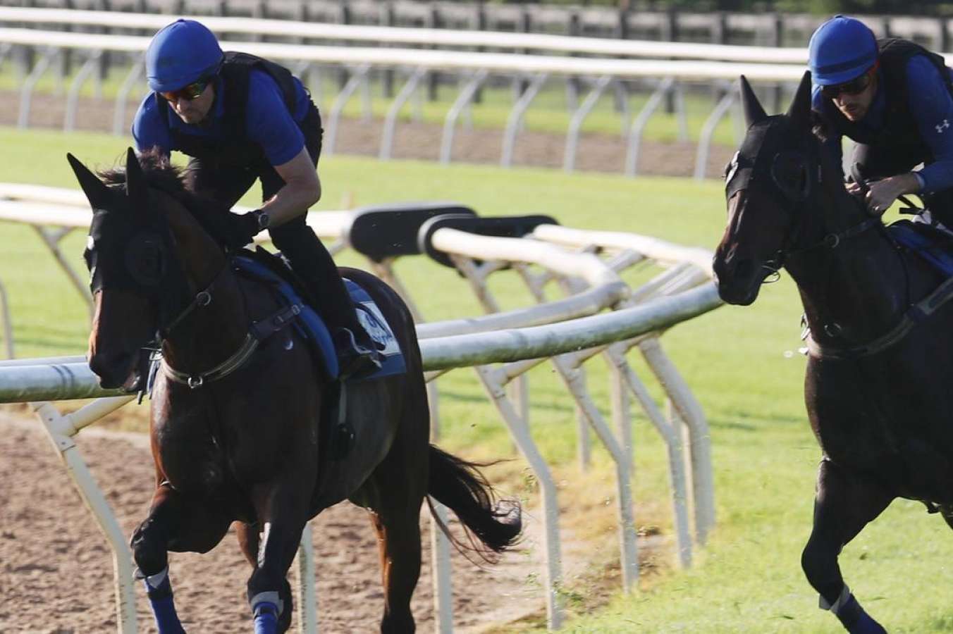 Anamoe to begin autumn in Apollo Stakes with Royal Ascot in sights