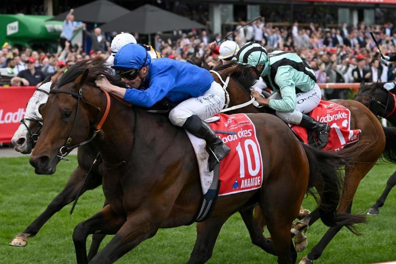 Racing Victoria chief looks to Formula One to shake-up racing