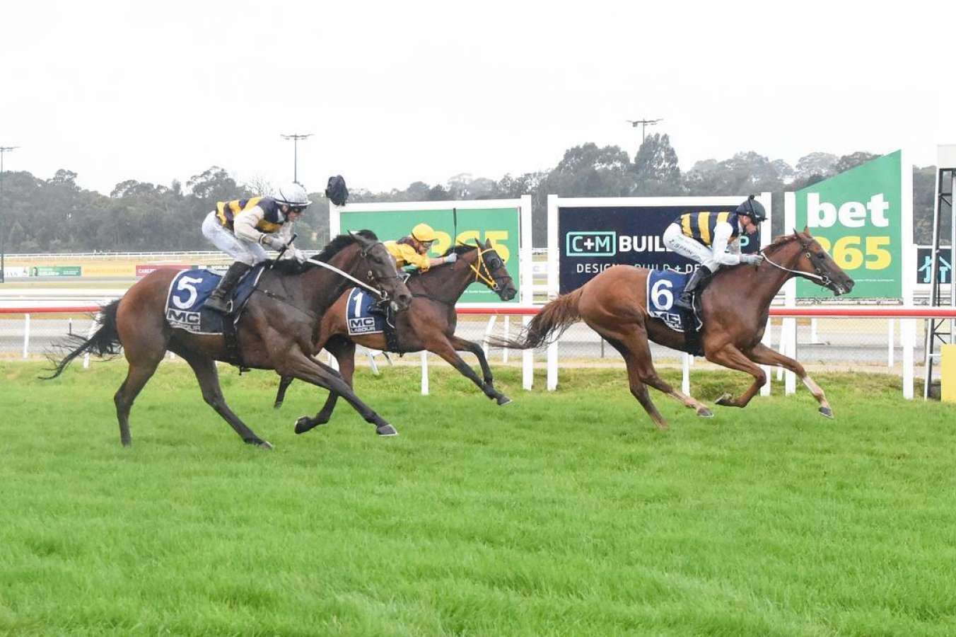 Seymour horse racing tips: Thursday, December 19, 2024