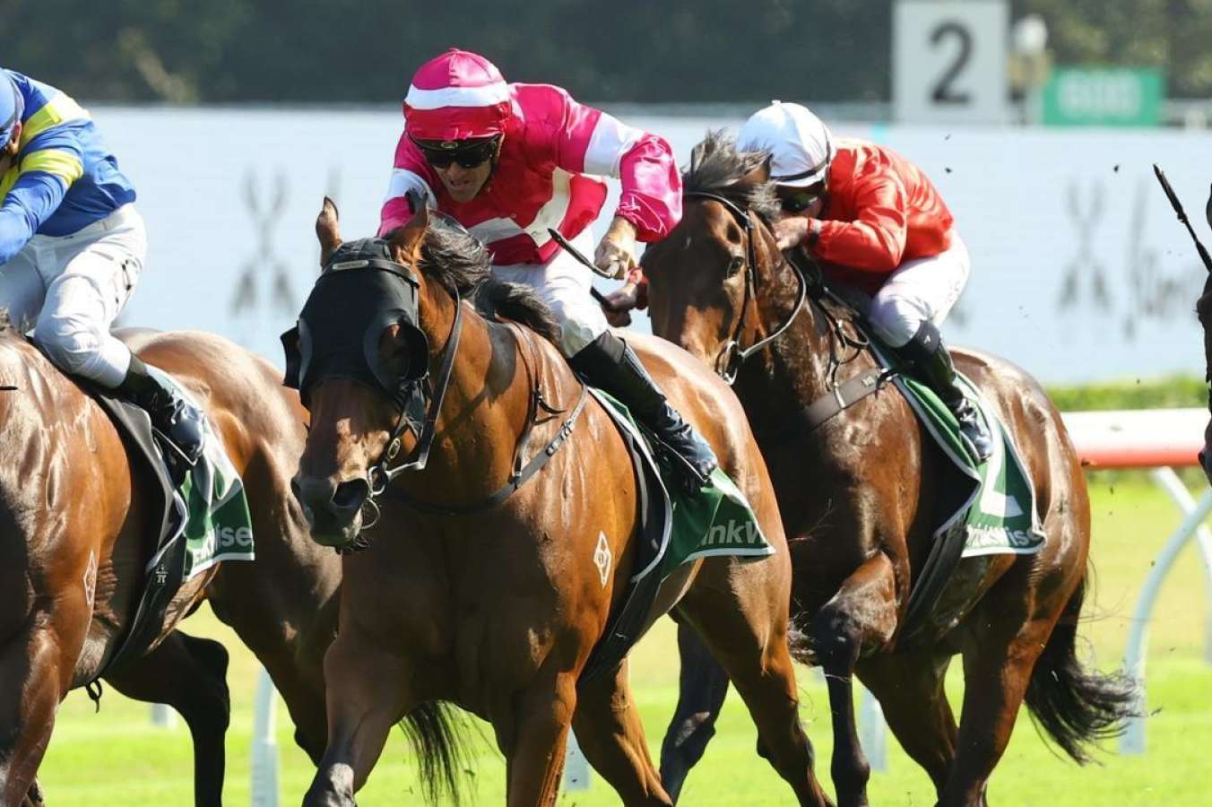 Randwick Preview & Tips - Saturday January 4, 2025