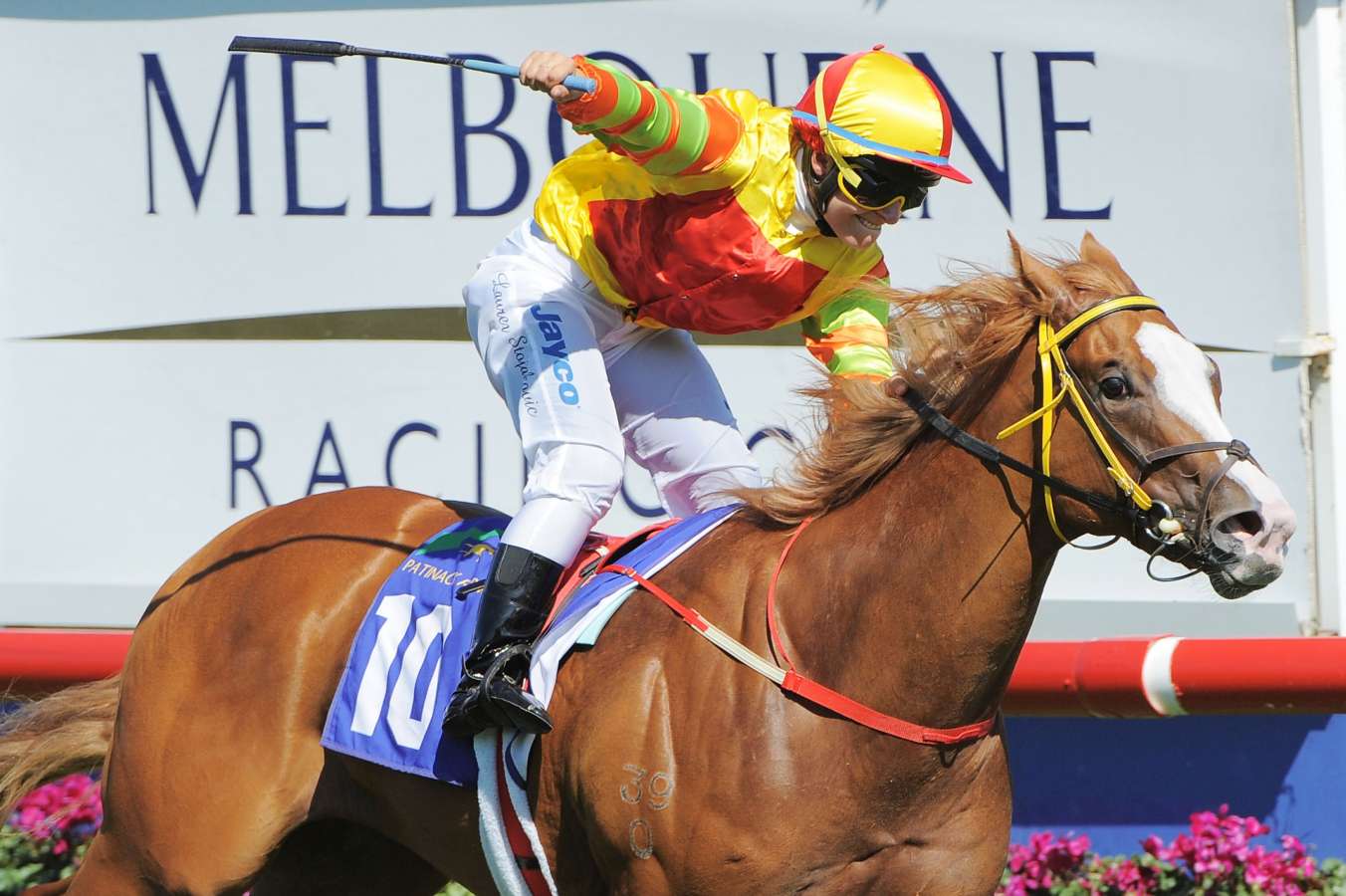 Miracles Of Life sibling wins on debut