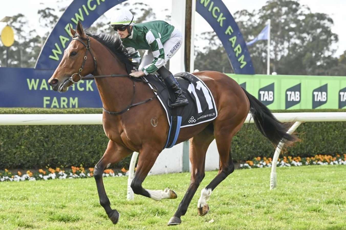 Ray Thomas Scone, Albury tips for Thursday, February 6, 2025