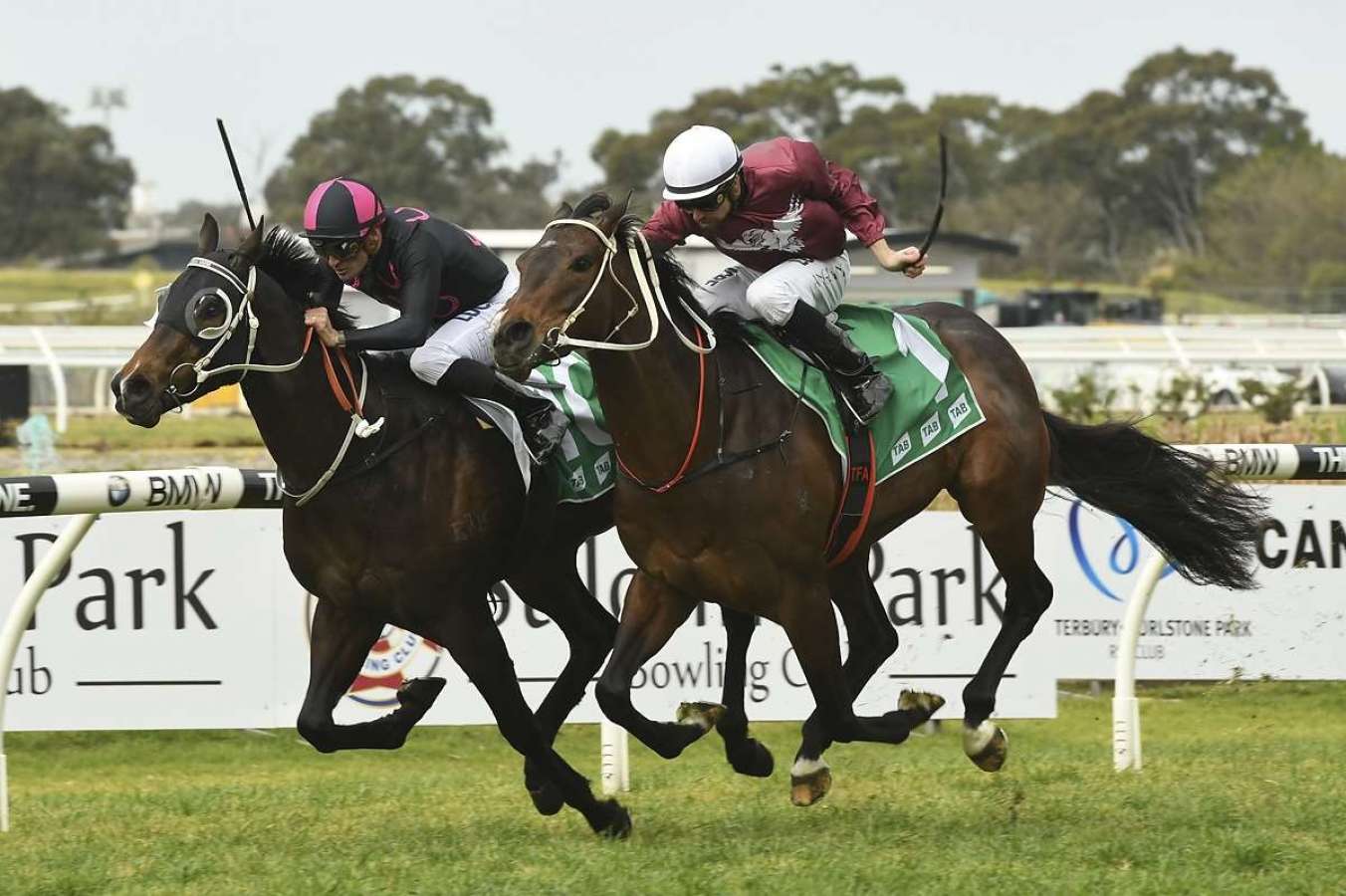 Eskimo Prince a crossroads race for Sin