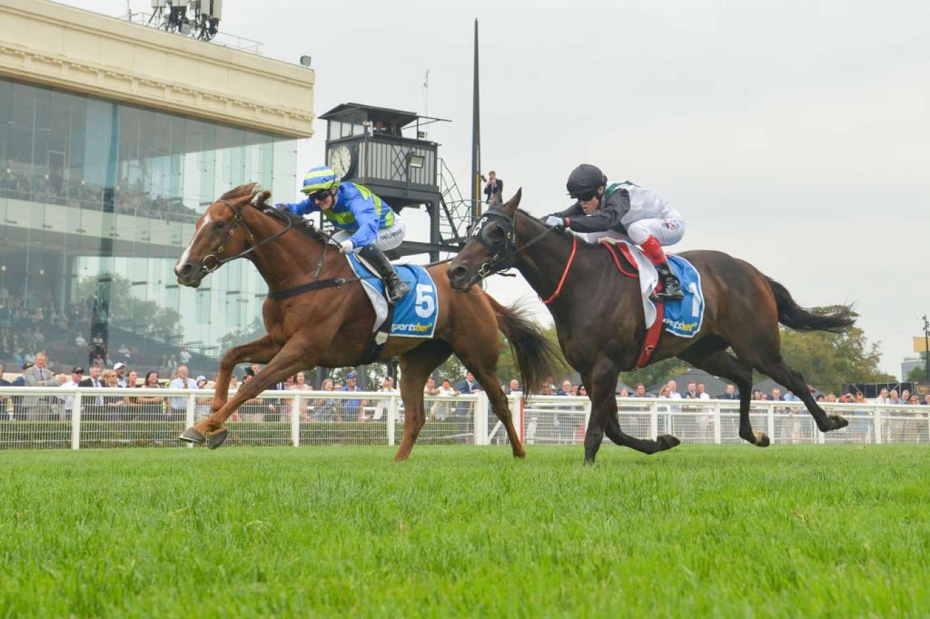 Only one Australian horse inside world's Top 10 for 2025 so far