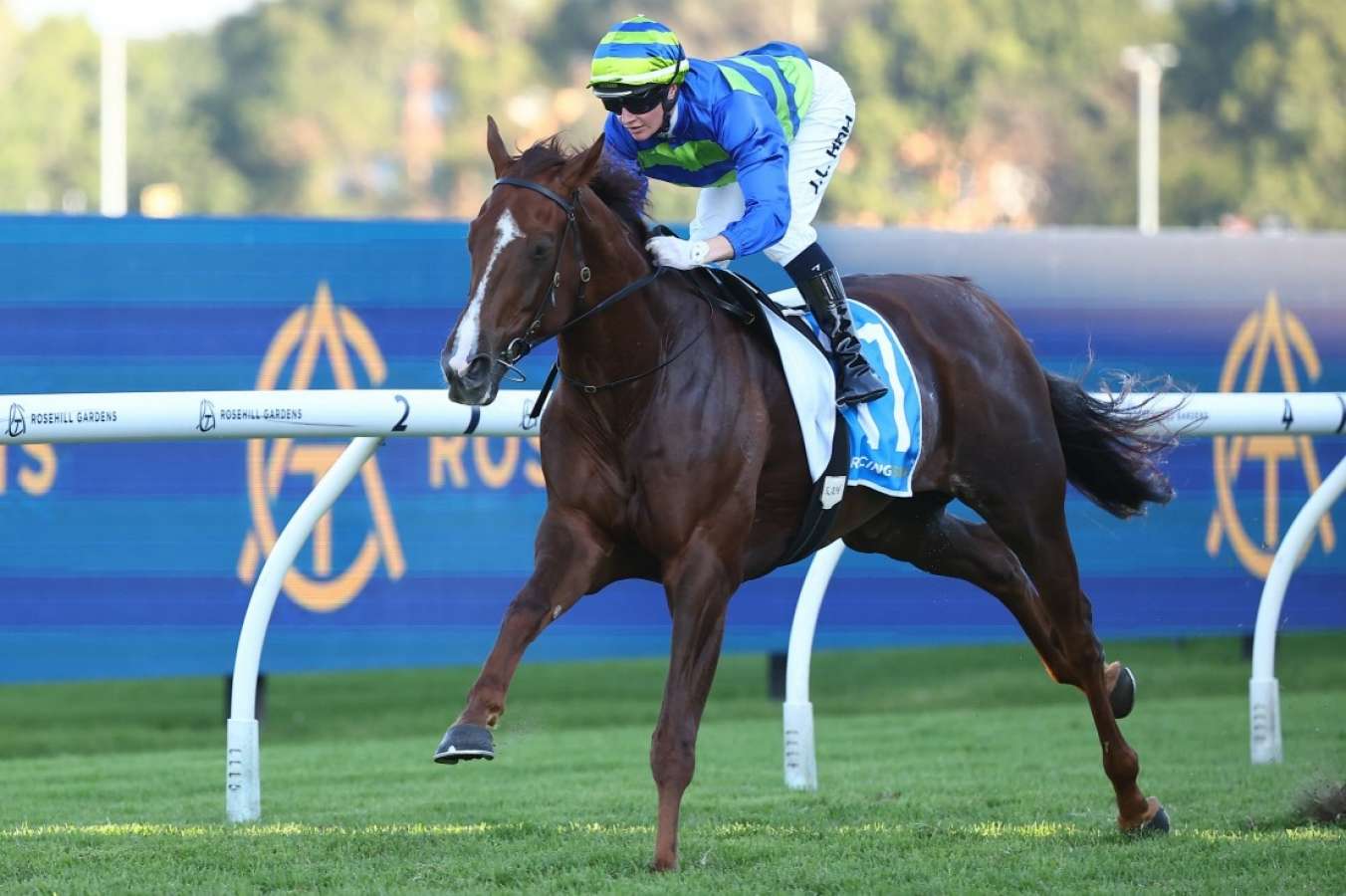 Jamie Kah: Doncaster Mile favourite Another Wil 'is a freak'