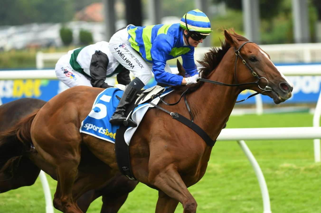 Punters post-race: CF Orr Stakes day in review