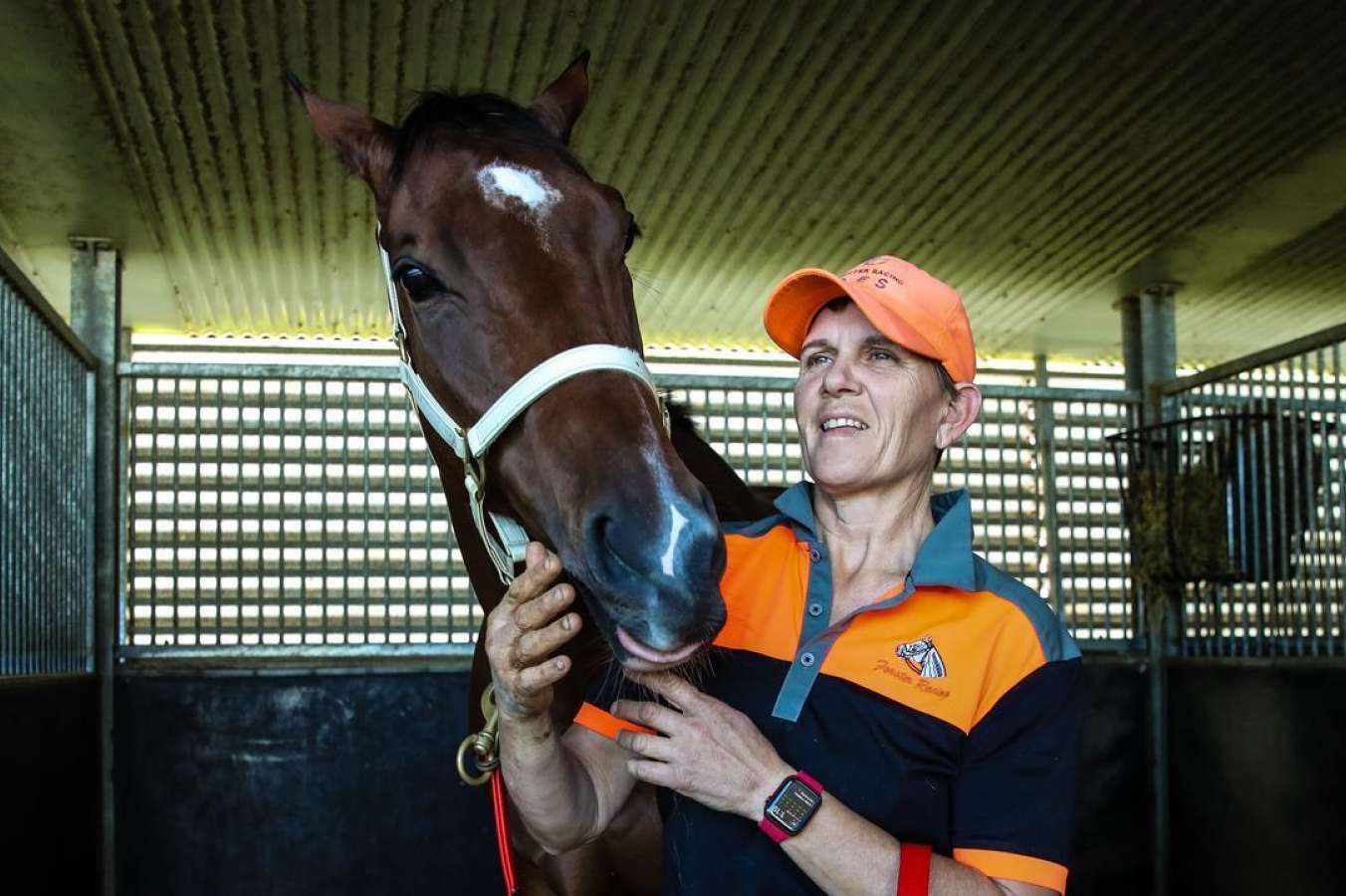 Apache Chase crowned Queensland's Horse Of The Year